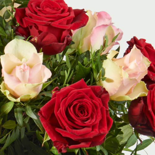 Boeket Roos rood-roze bestellen? | Topbloemen.nl